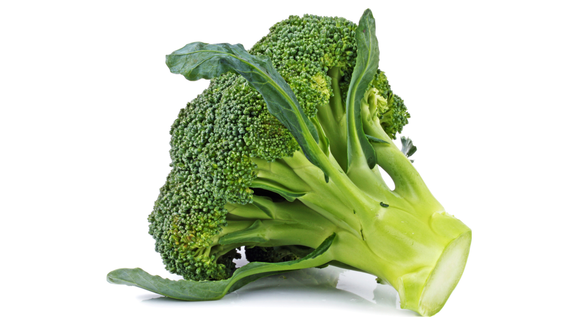 Brokolice v akci levně | Kupi.cz