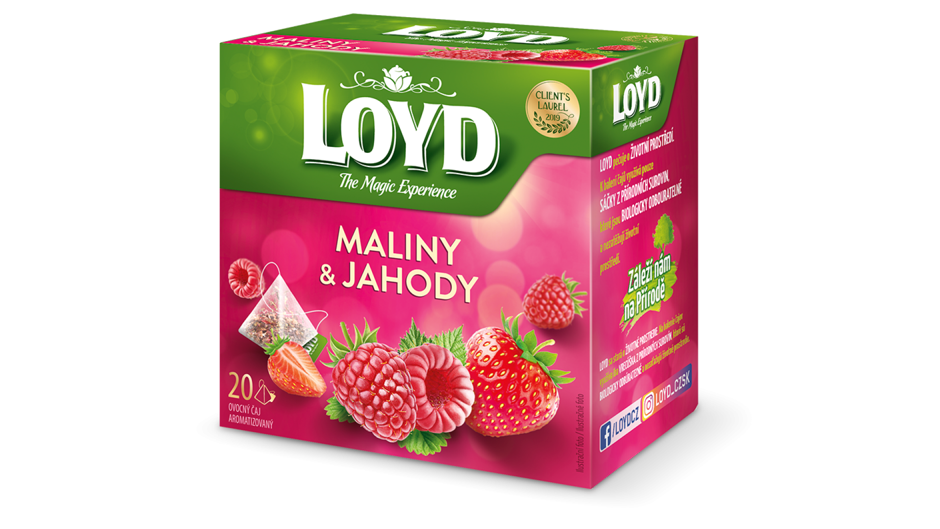 Čaj Loyd - pyramidový v akci levně | Kupi.cz