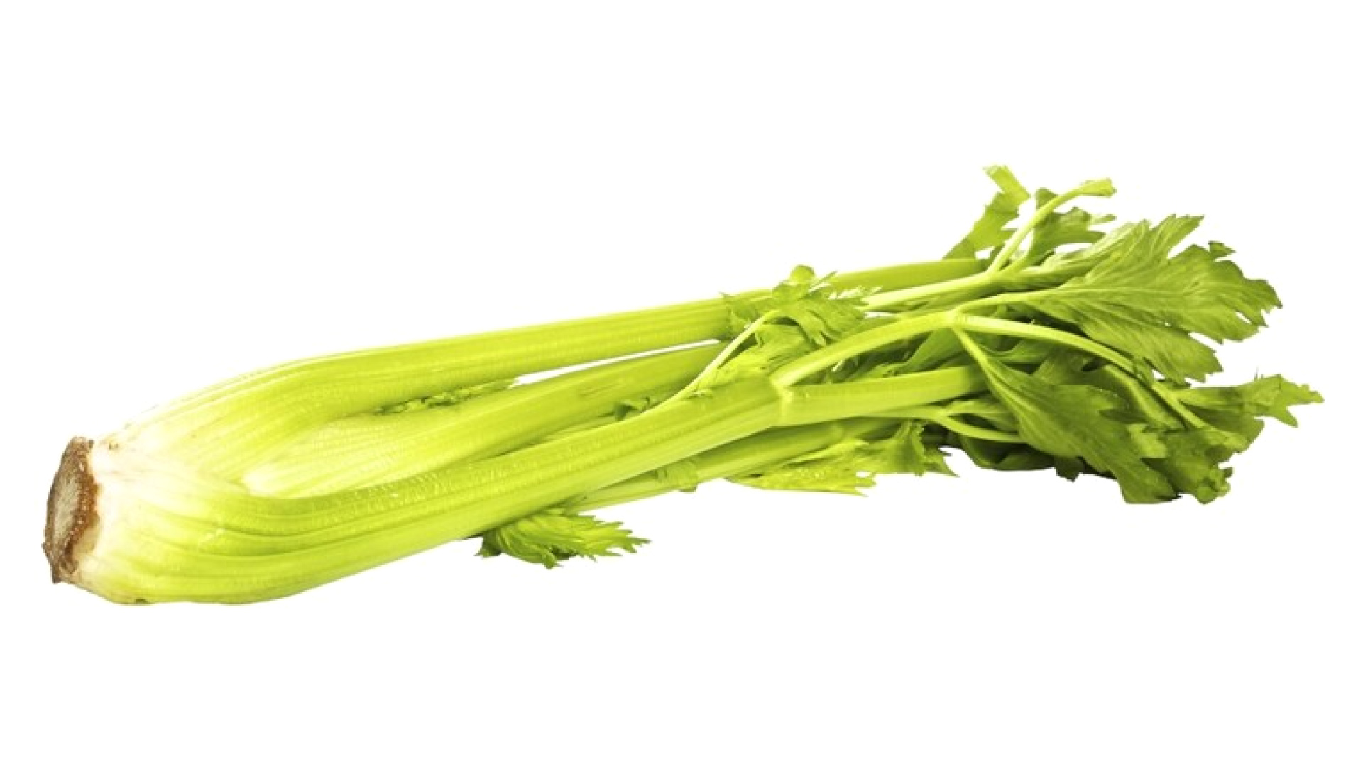 Celer řapíkatý bio Nature's Promise levně | Kupi.cz