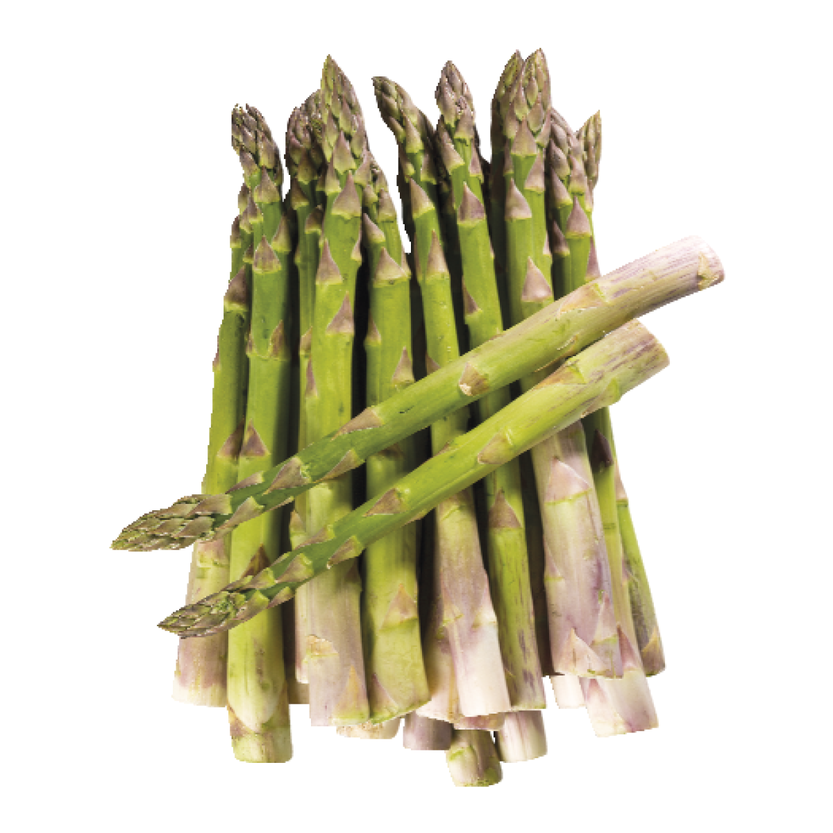 Chřest zelený levně | Kupi.cz