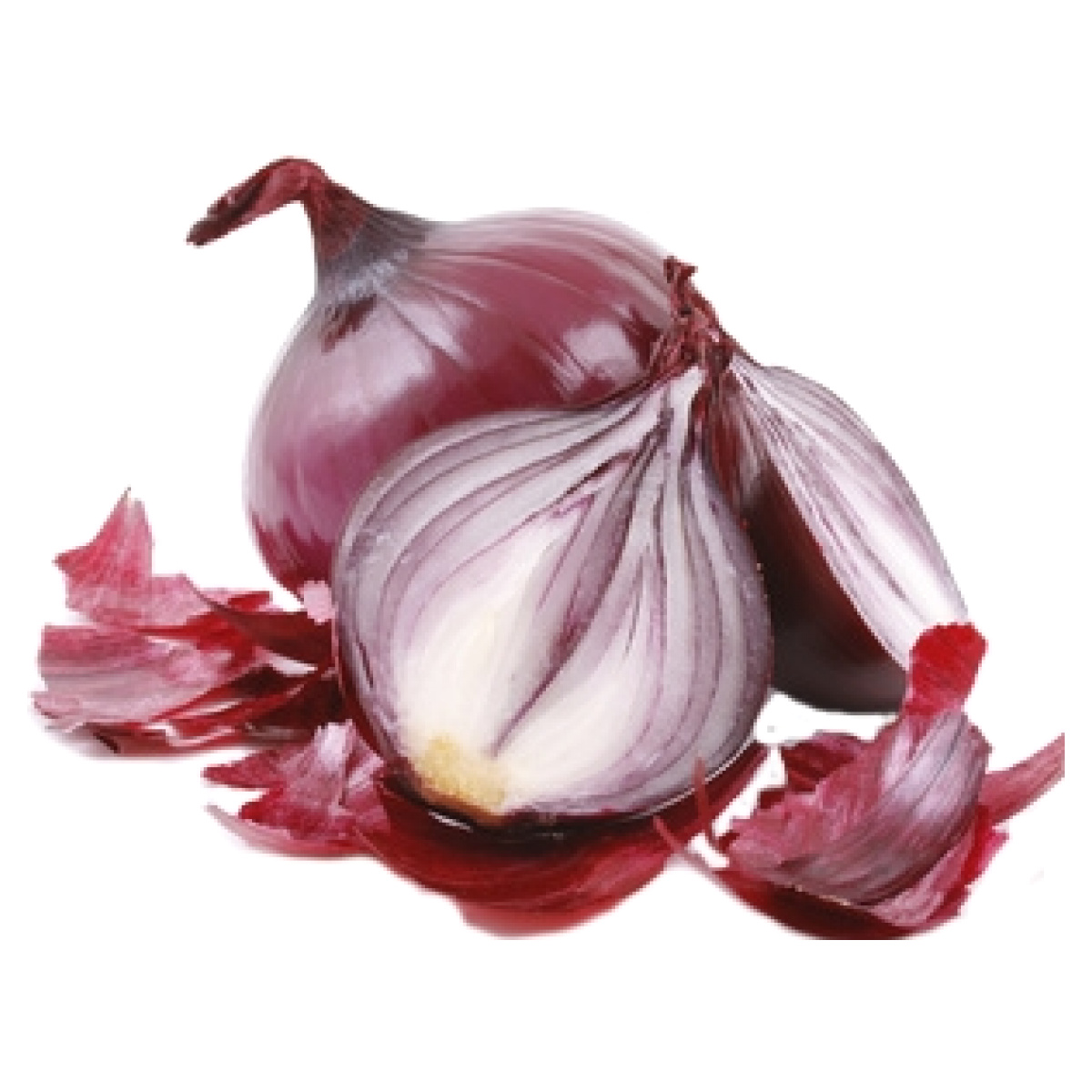 Cibule červená levně | Kupi.cz