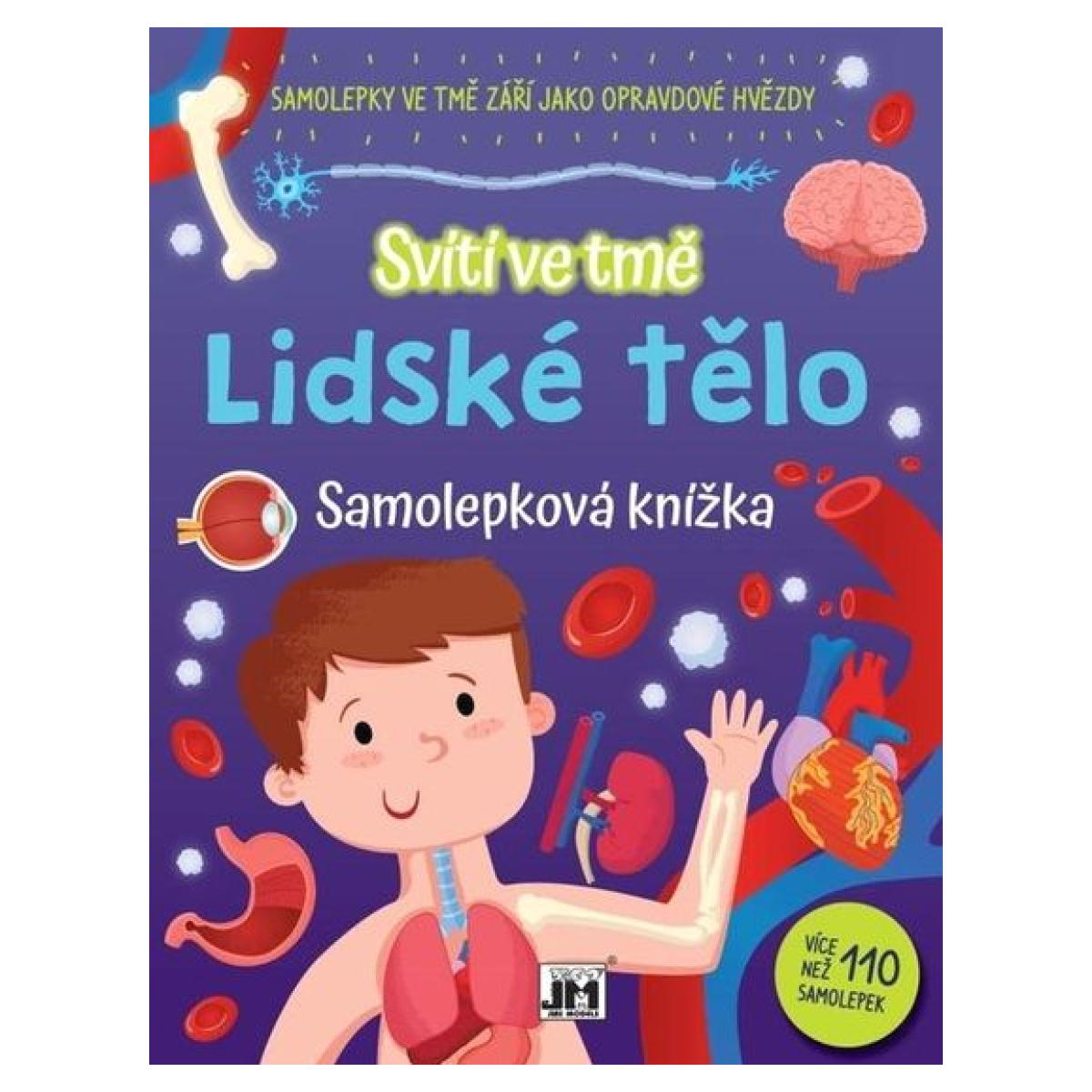 Kniha Lidské tělo svítí ve tmě Jiri Models levně | Kupi.cz