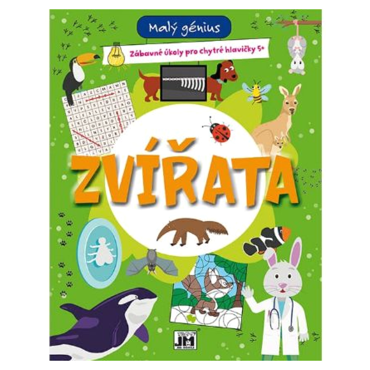 Kniha Malý génius Jiri Models levně | Kupi.cz