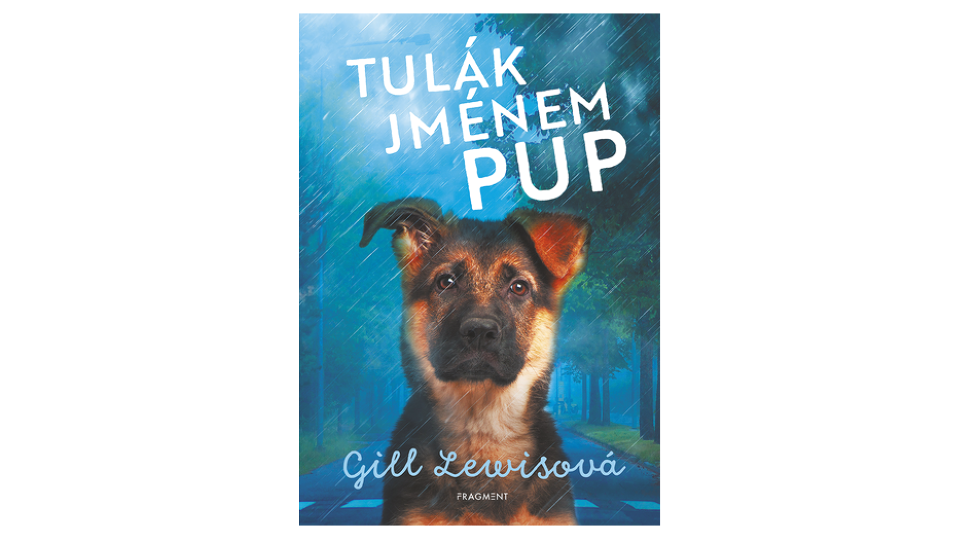 Kniha Tulák jménem Pup Gill Lewisová, Nakladatelství Fragment levně ...