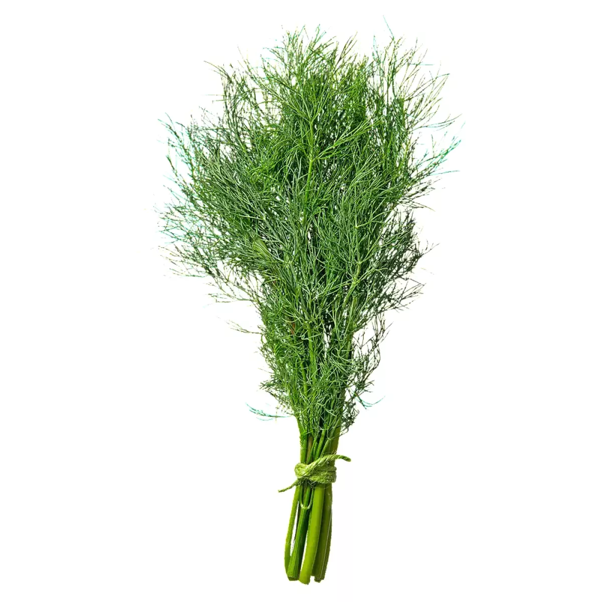 Kopr čerstvý levně | Kupi.cz