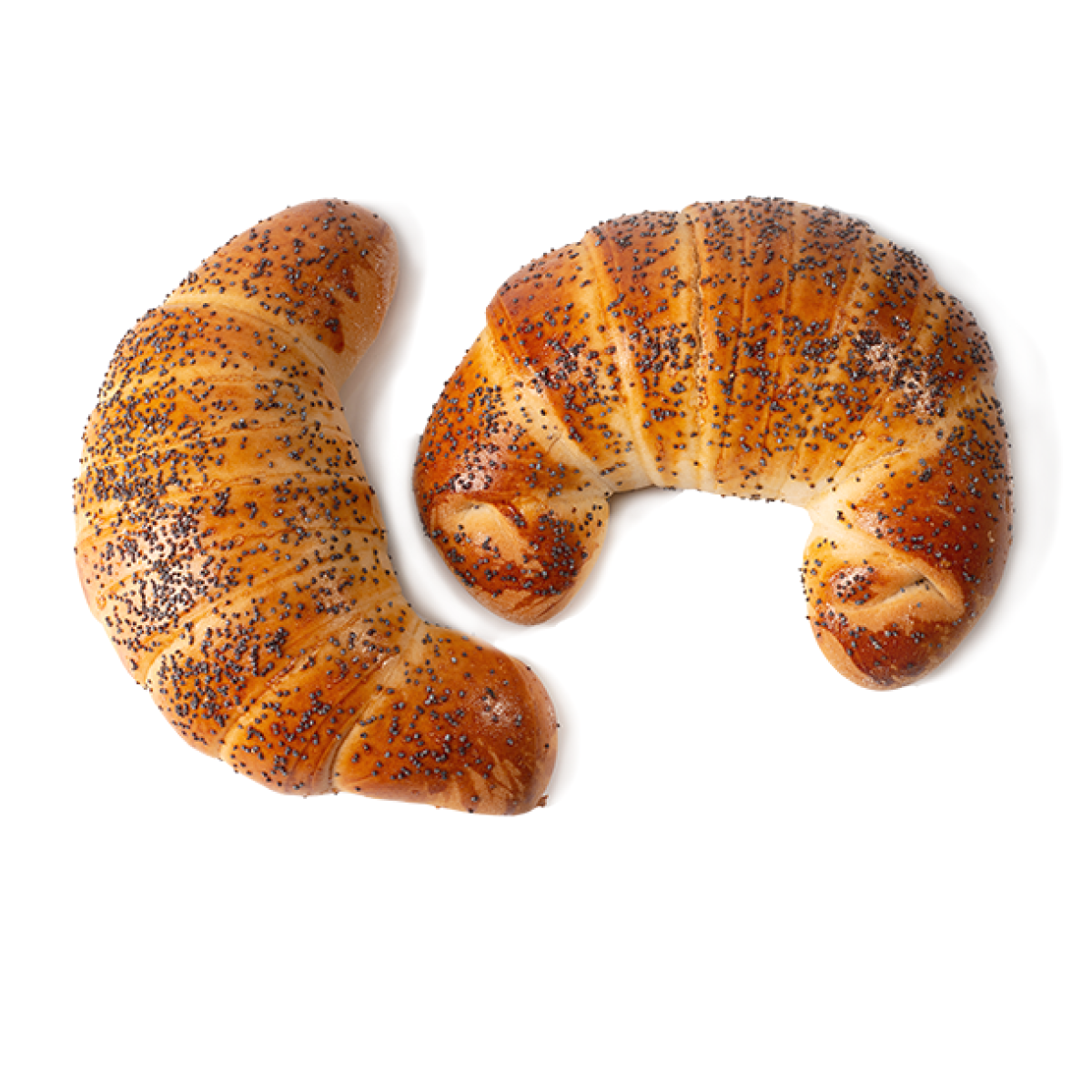 Loupák levně | Kupi.cz