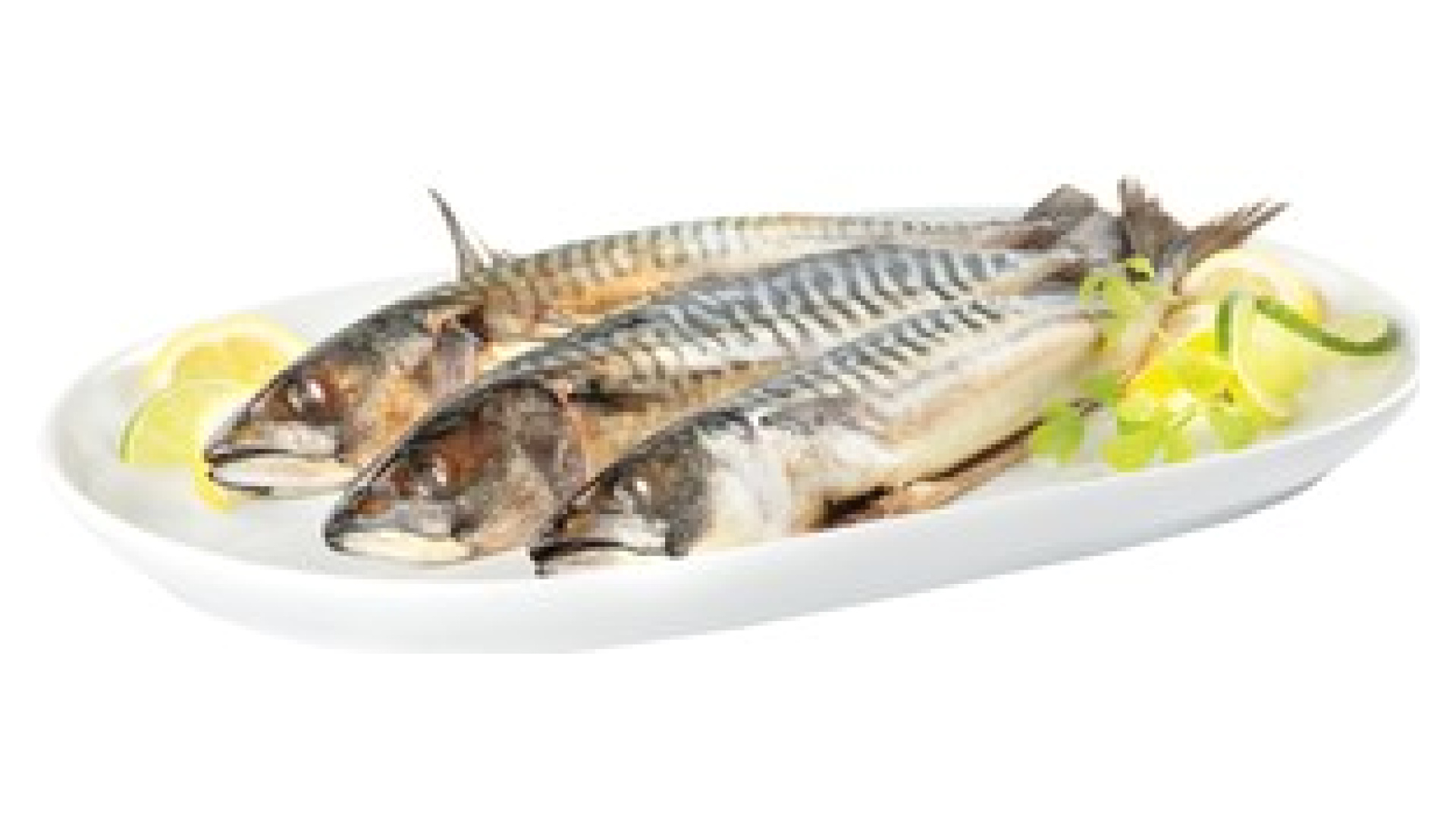 Makrela kuchaná levně | Kupi.cz