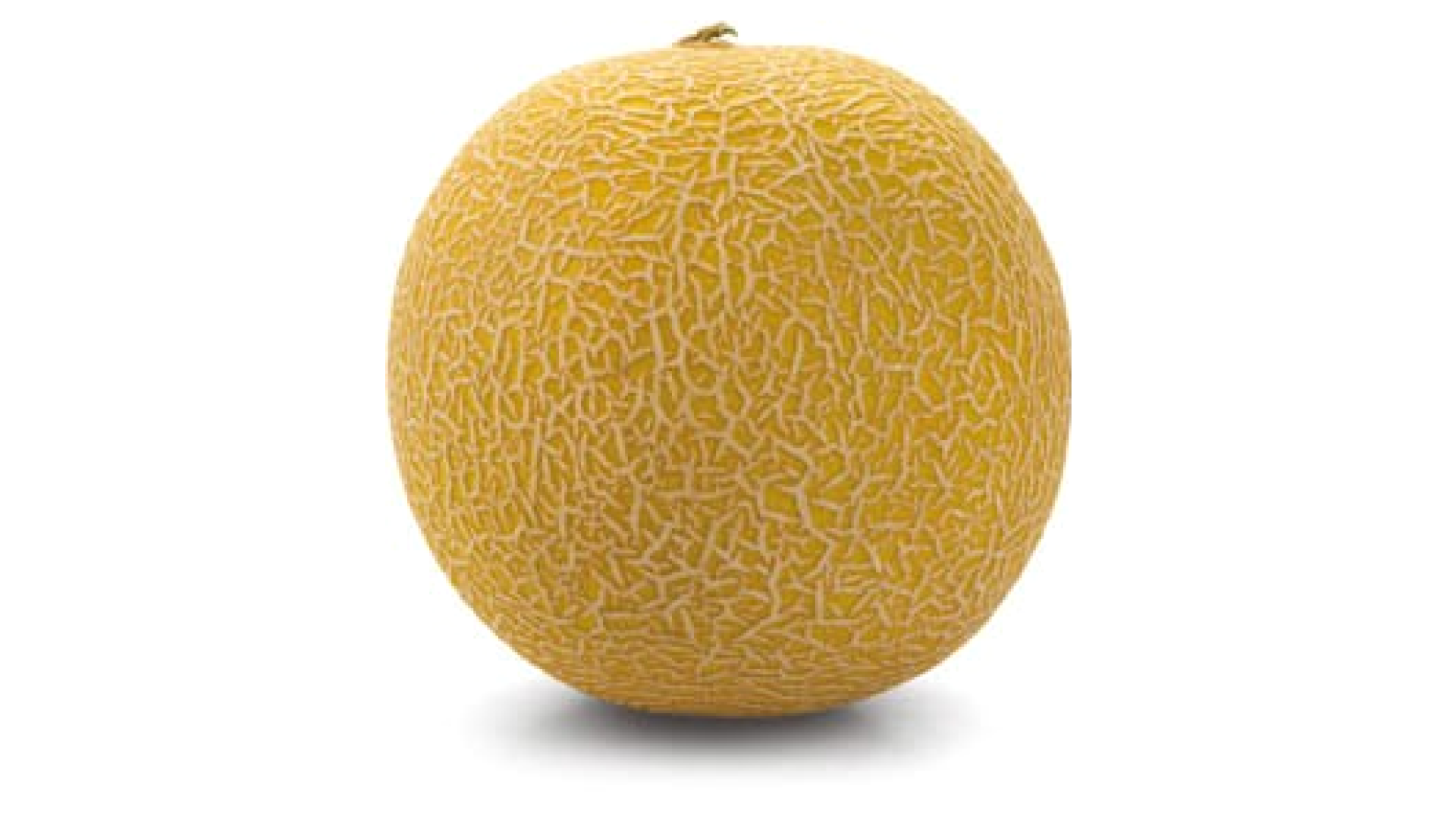 Meloun Galia Metro Chef levně | Kupi.cz