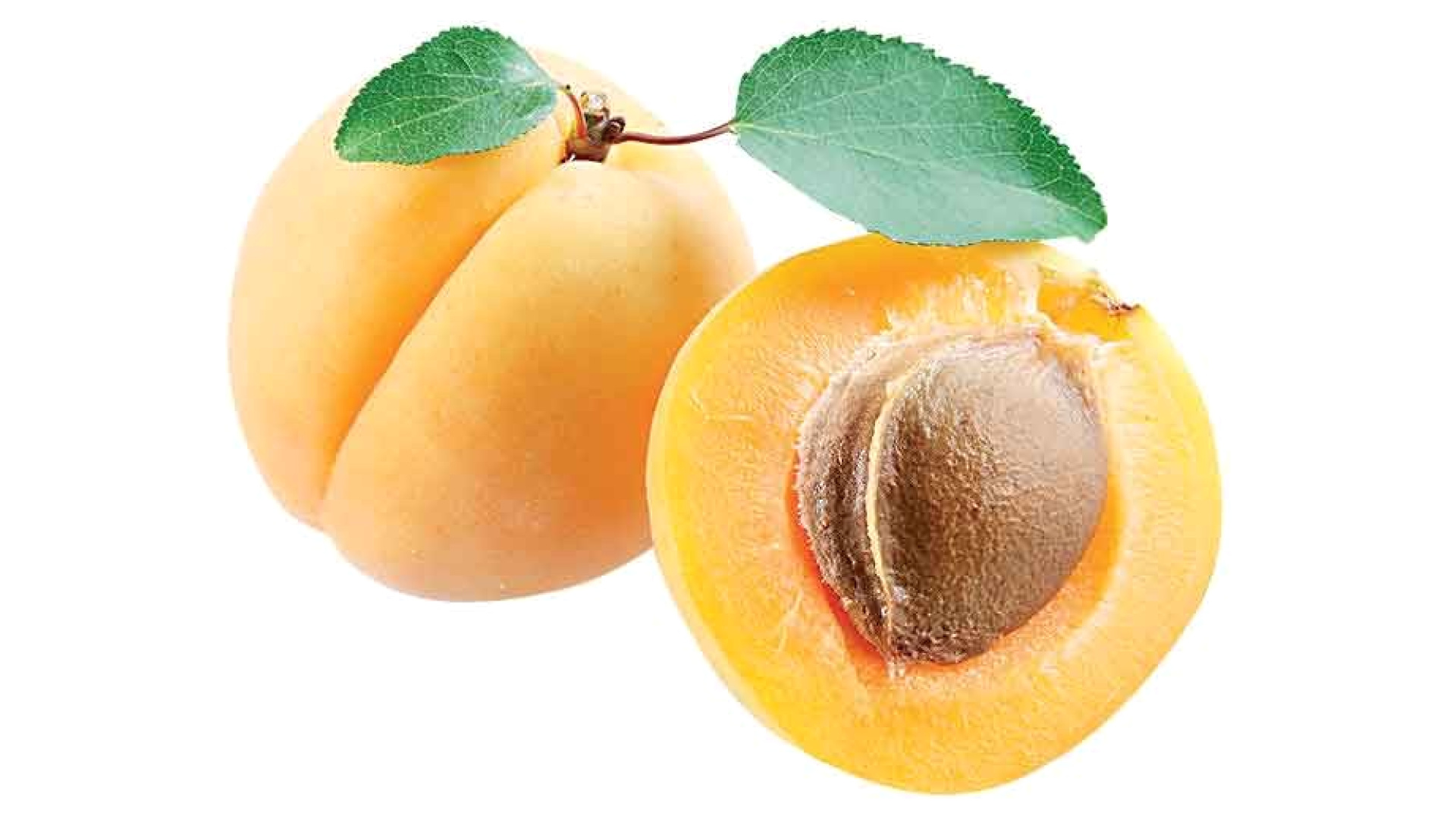 Meruňky v akci levně | Kupi.cz