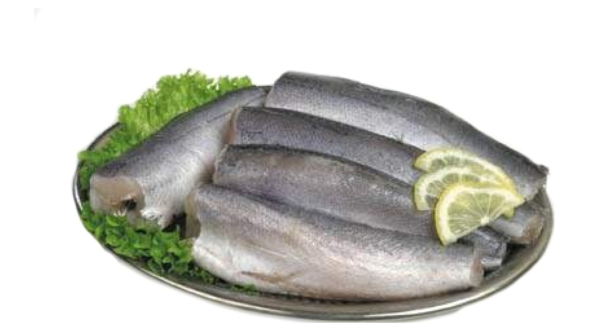 Štika mořská levně | Kupi.cz