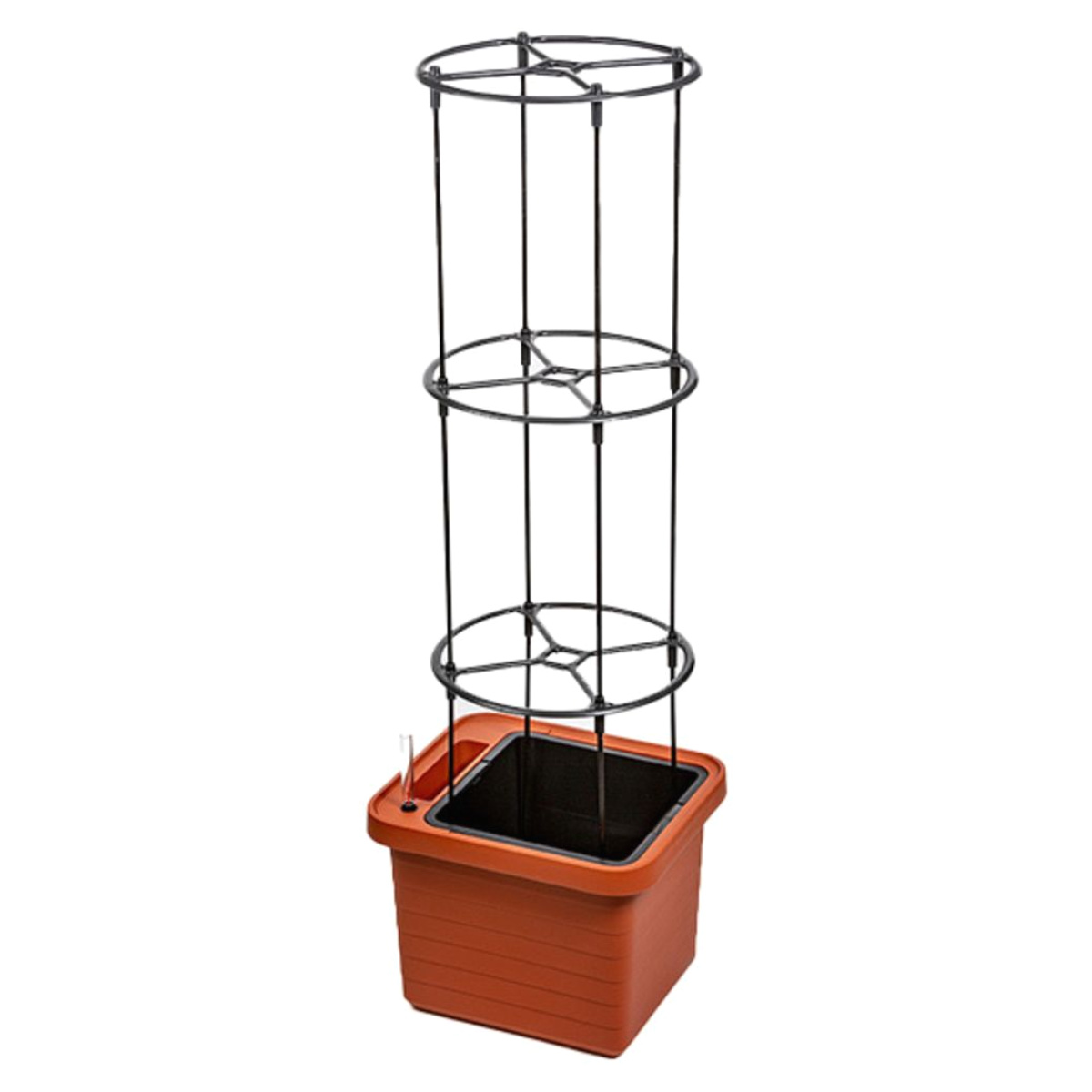 Opora pro pěstování rostlin v truhlíku Plastia levně | Kupi.cz