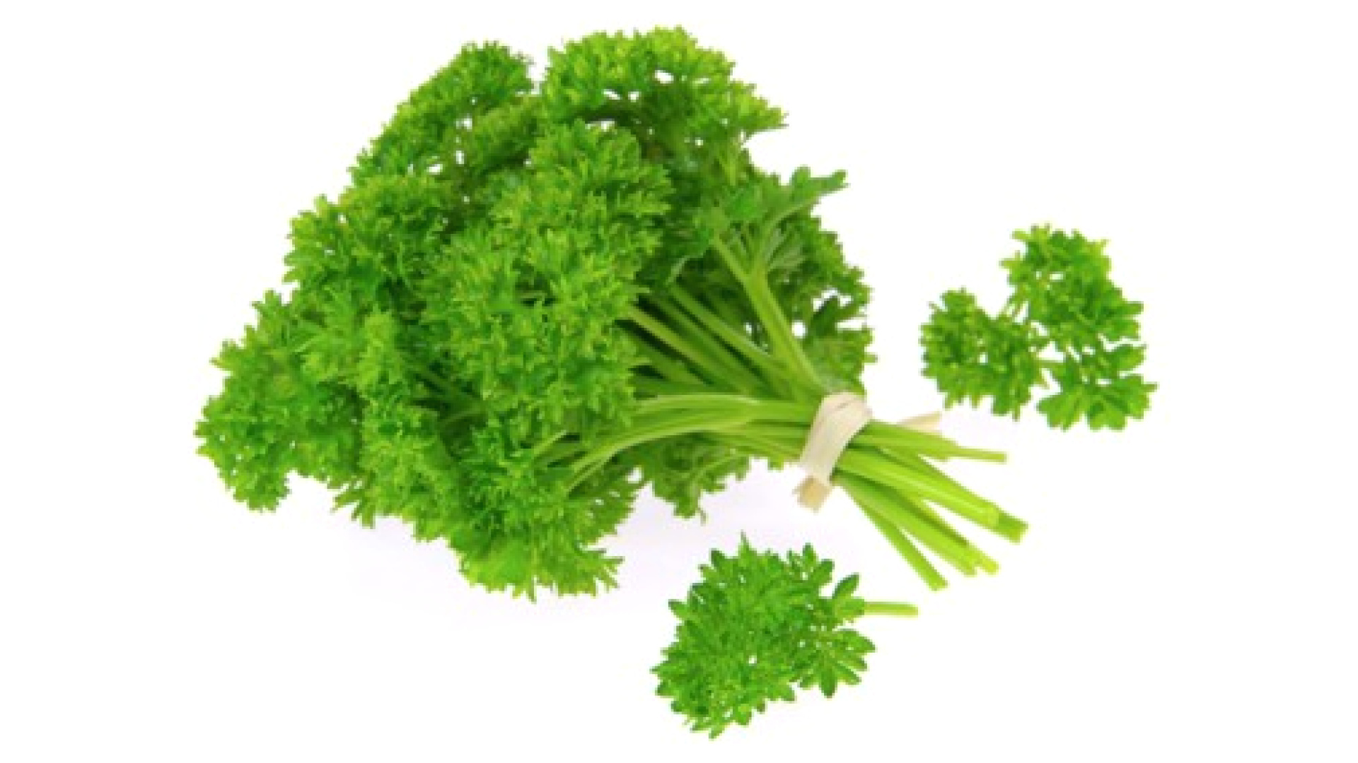 Petržel kudrnka čerstvá levně | Kupi.cz