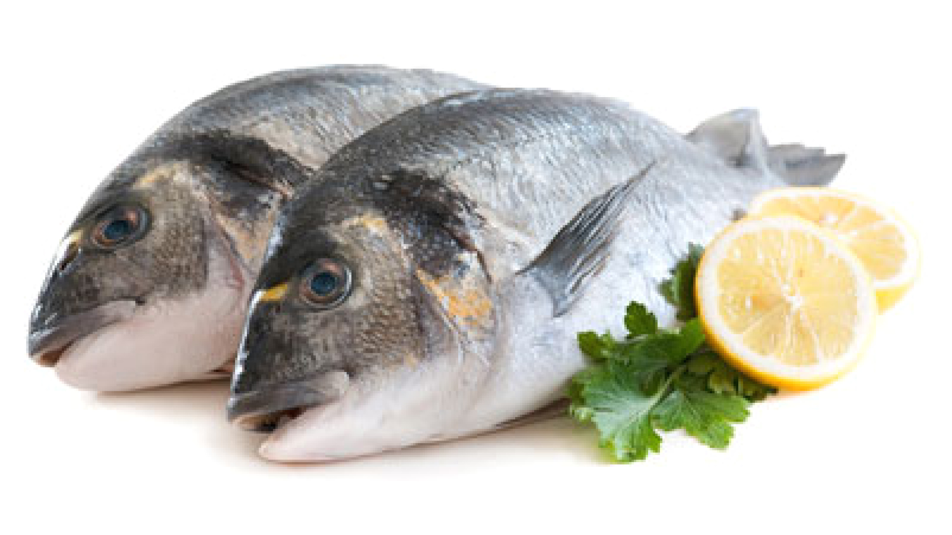 Pražma královská levně | Kupi.cz