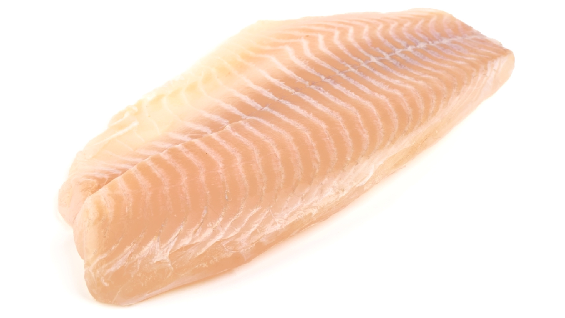 Sumec velký filet v akci levně | Kupi.cz