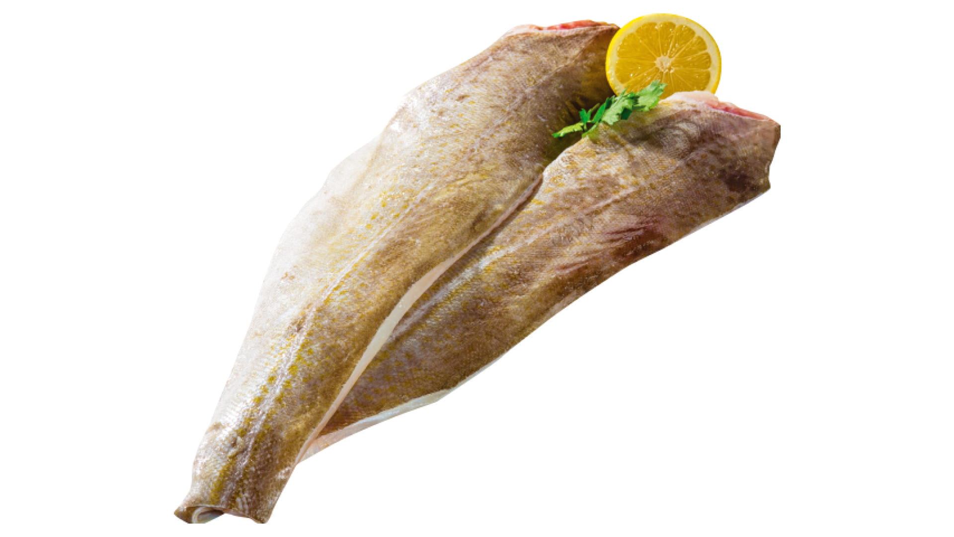 Treska Skrei filet levně | Kupi.cz